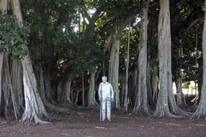 The Complete Guide to Visiting Mina Edison's Moonlight Garden ⋆ Roots ...