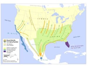 The Monarch Butterfly Migration: A Species Survival ⋆ Roots and Maps