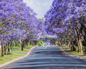 Where to Grow a Jacaranda Tree ⋆ Roots and Maps