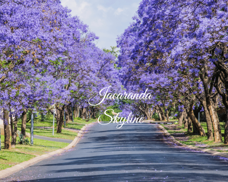 Where to Grow a Jacaranda Tree ⋆ Roots and Maps