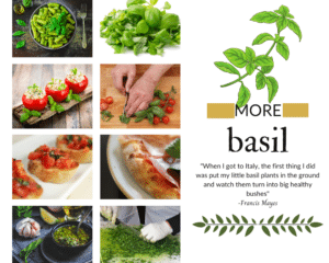 How to Use Your Bounty of Basil ⋆ Roots and Maps