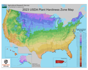 How To Find Your USDA Plant Hardiness Zones For Florida ⋆ Roots and Maps