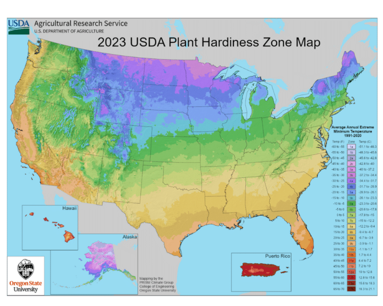 How To Find Your USDA Plant Hardiness Zones For Florida ⋆ Roots and Maps