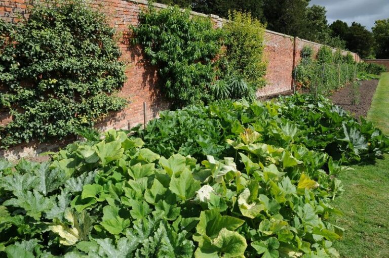 Microclimates: Identify, Evaluate, Influence, and Use Them ⋆ Roots and Maps