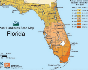 How To Use The New USDA Plant Hardiness Zone Map ⋆ Roots and Maps