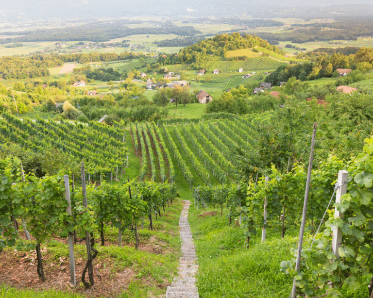 Microclimates: Identify, Evaluate, Influence, and Use Them ⋆ Roots and Maps