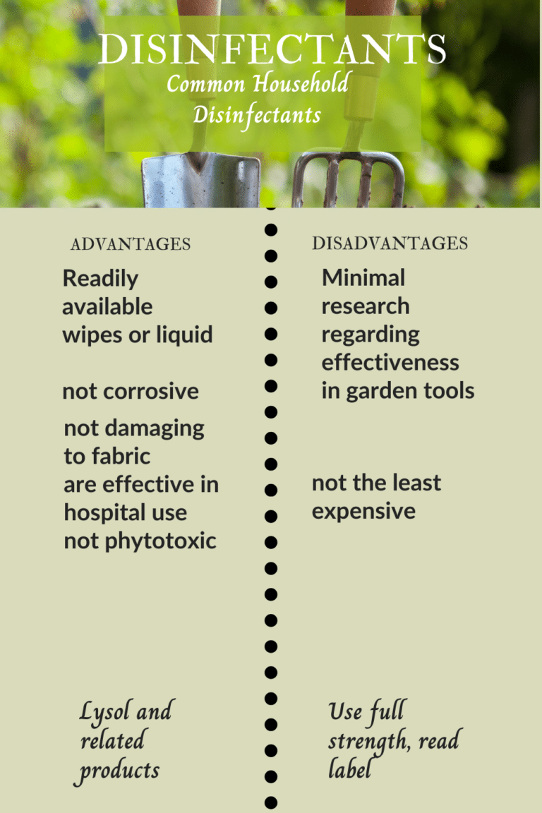 How To Disinfect Your Garden Tools For Healthy Plants ⋆ Roots and Maps
