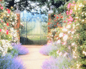 Add A Garden Gate: Security, Privacy, Focal Point ⋆ Roots and Maps