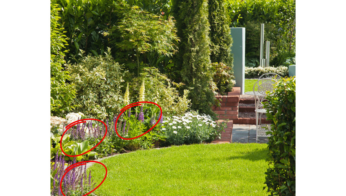 Why Should I Plant in Threes?-The Rule of Threes! ⋆ Roots and Maps