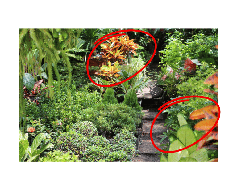 Why Should I Plant in Threes?-The Rule of Threes! ⋆ Roots and Maps